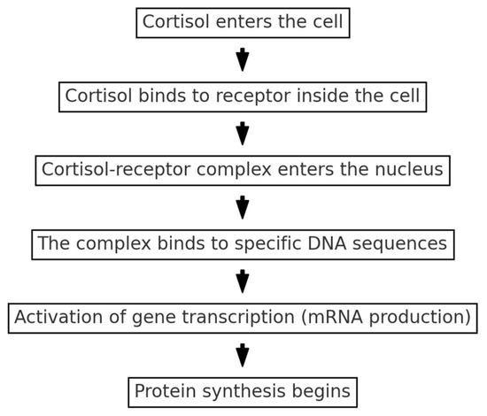 Behavioral, Physiological, and Pathological Approaches of Cortisol in Dogs