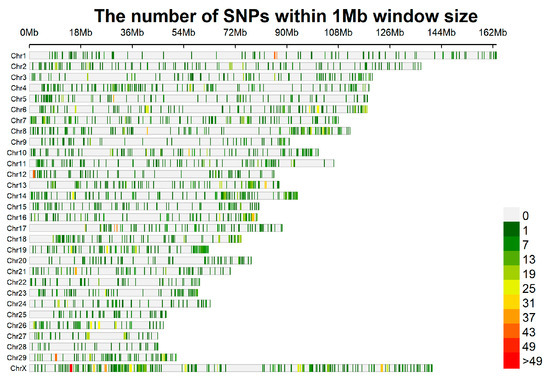 Development and Validation of a 5K Liquid Chip for Identifying Cashmere ...