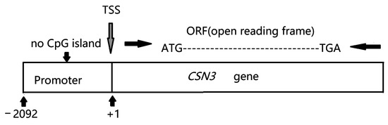 Identification of the Bovine CSN3 Core Promoter Region and the ...