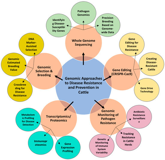 Application of Genomic Selection in Beef Cattle Disease Prevention