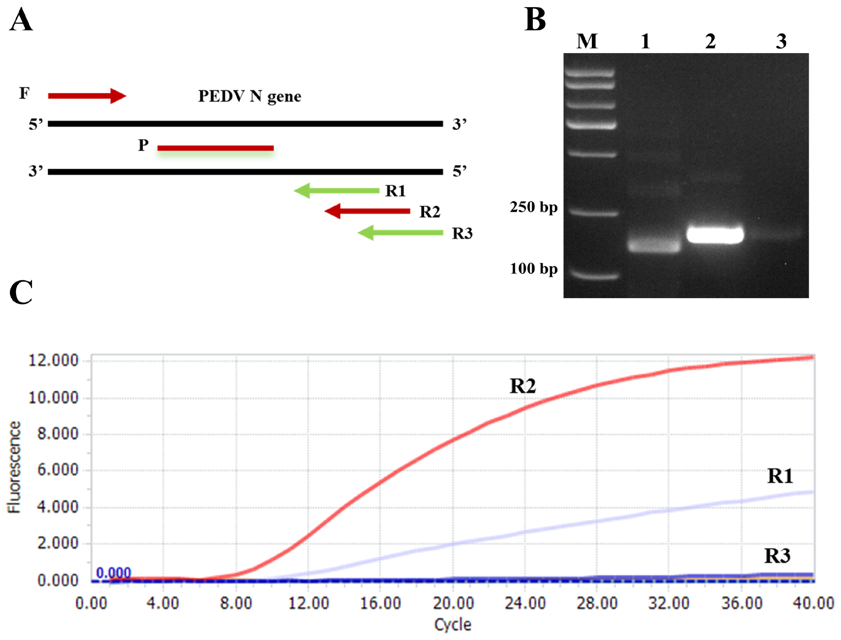 Development of a Portable Rapid Detection Method for Porcine Epidemic Diarrhea Virus Using ...