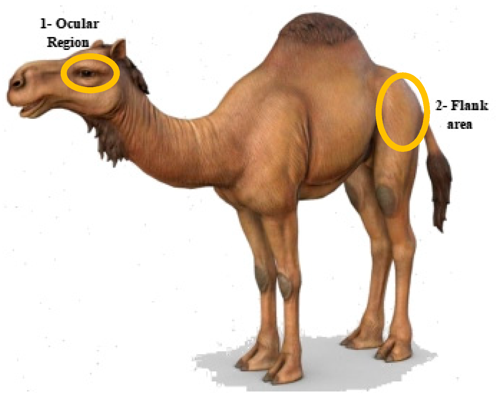 Association of Environmental Temperature and Relative Humidity with ...