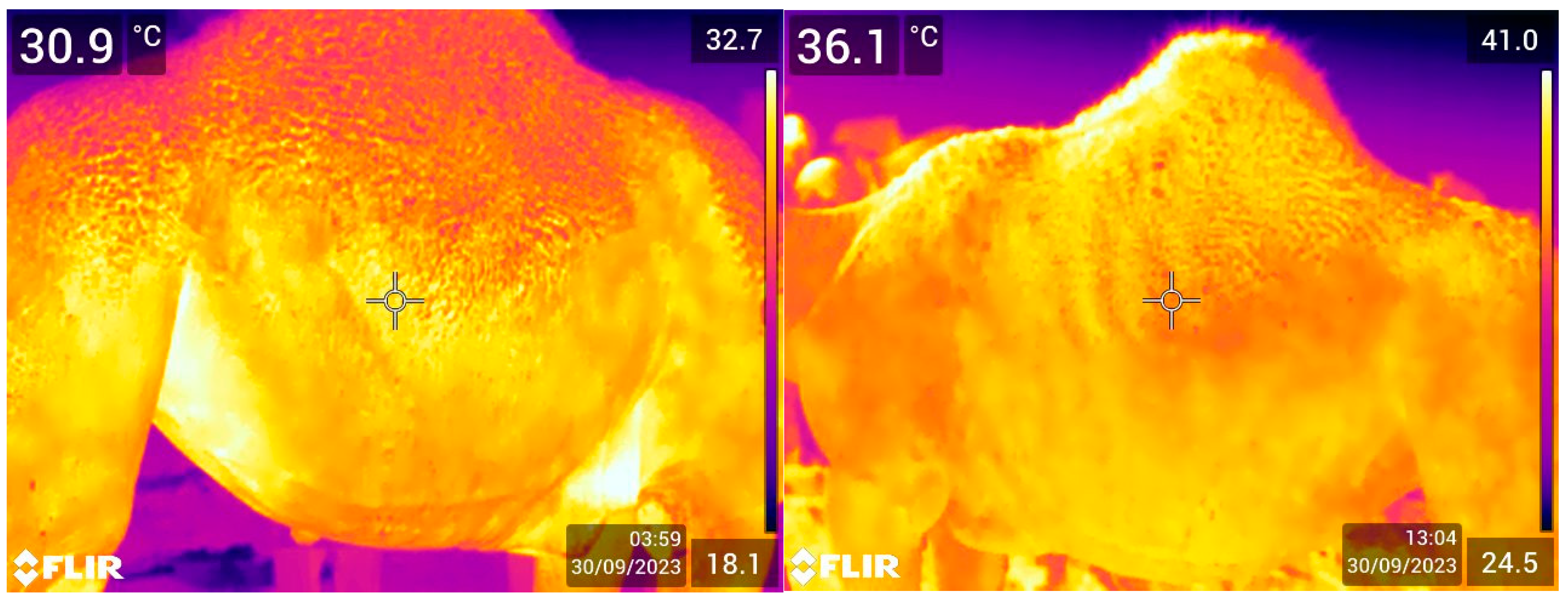 Association of Environmental Temperature and Relative Humidity with ...
