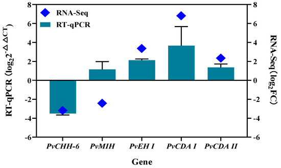 Key Neuropeptides Regulating Molting in Pacific White Shrimp (Penaeus ...