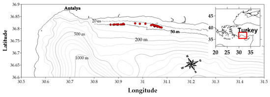 Population Dynamics of the Widespread Alien Decapod Species, Brown ...