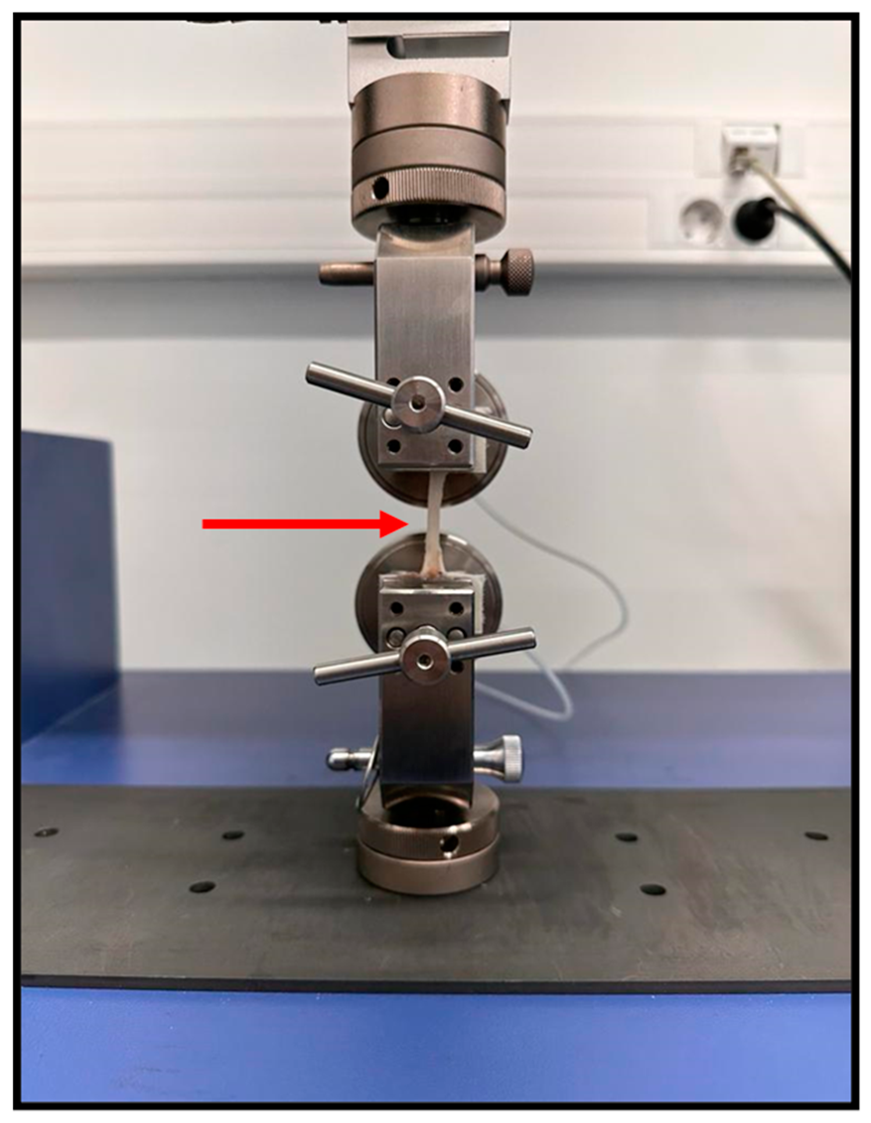 Biomechanical Evaluation of the Sheep Common Peroneal Nerve After Crush ...