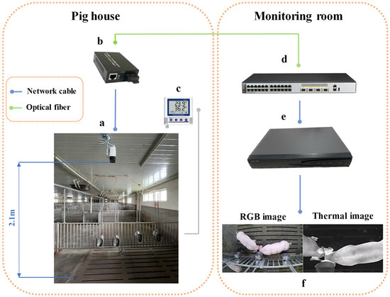 Body Temperature Detection of Group-Housed Pigs Based on the Pairing of ...