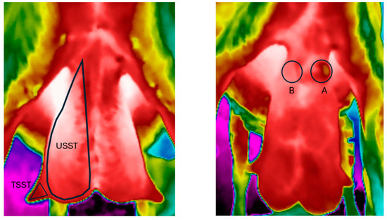 Clinical Assessment of Dairy Goats’ Udder Health Using Infrared ...