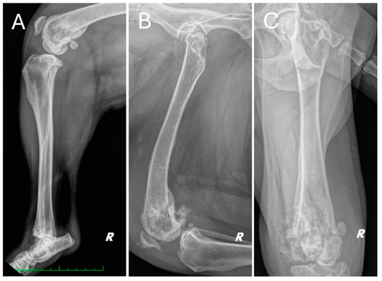 Limb-Sparing Surgery and Stifle Arthrodesis Using Patient-Specific 3D ...