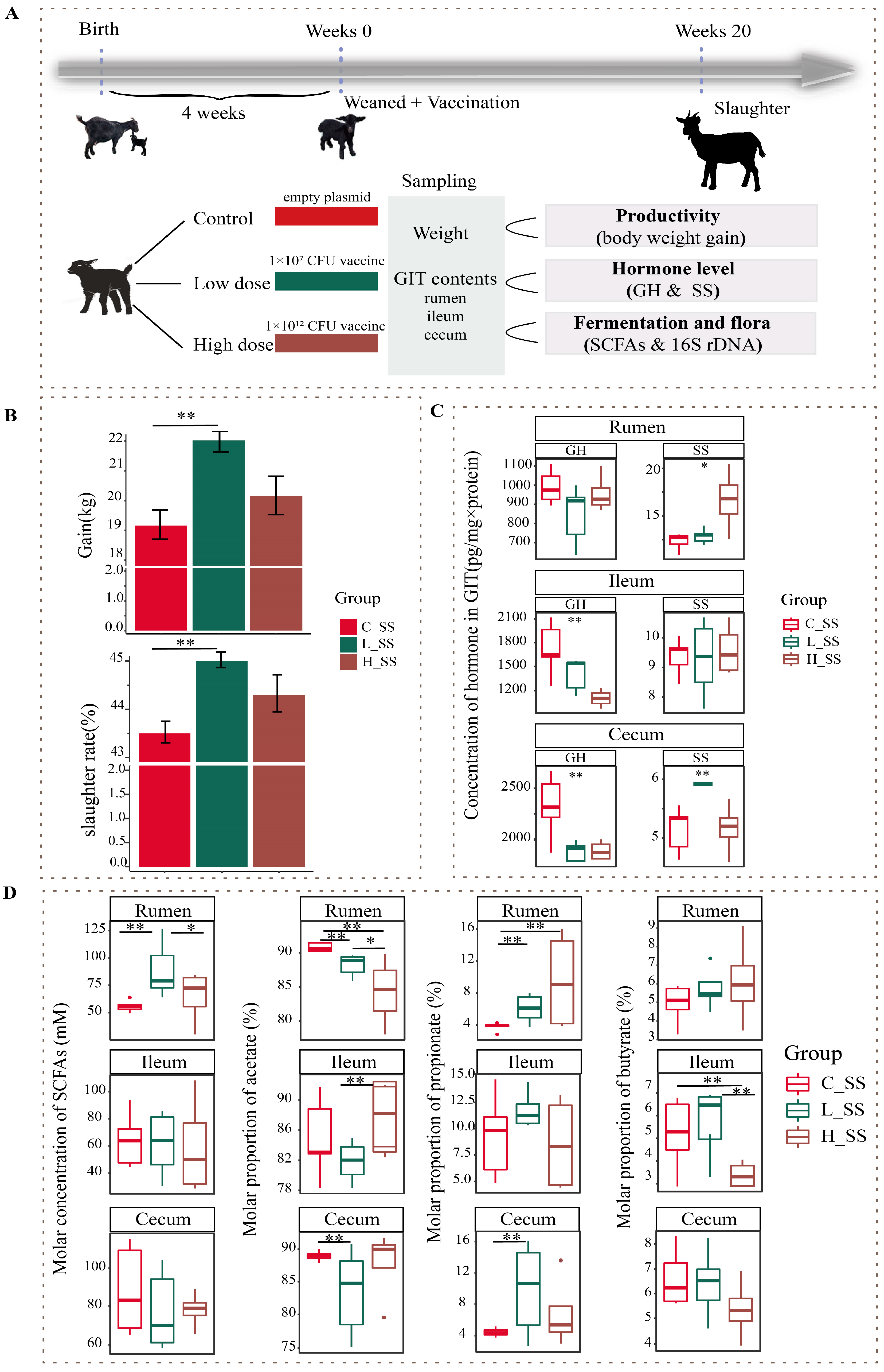 Insight into the Potential of Somatostatin Vaccination with Insight into the Potential of Somatostatin Vaccination with