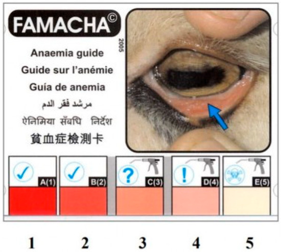 Classification of FAMACHA© Scores with Support Vector Machine Algorithm ...