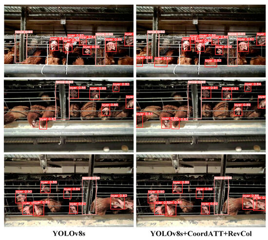 Enhanced Methodology and Experimental Research for Caged Chicken ...