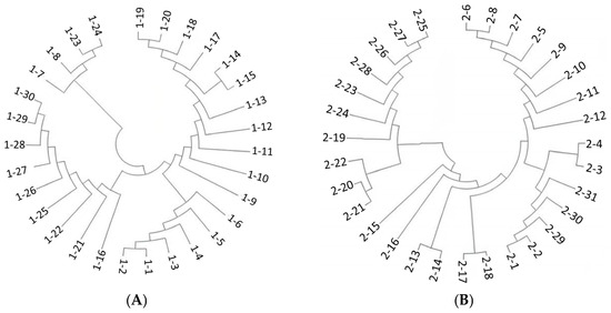 Targeted Gene Knock-Out of Fel d1 in Fetal Fibroblasts Using CRISPR ...