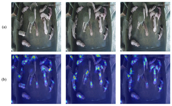 YOLOv8A-SD: A Segmentation-Detection Algorithm for Overlooking Scenes in Pig Farms