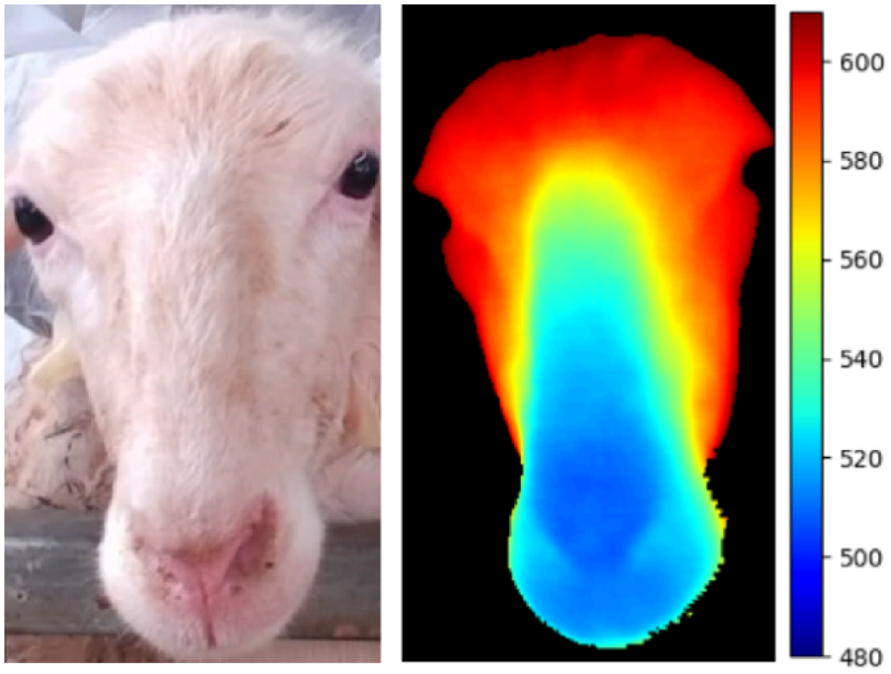 Multi-Modality Sheep Face Recognition Based on Deep Learning