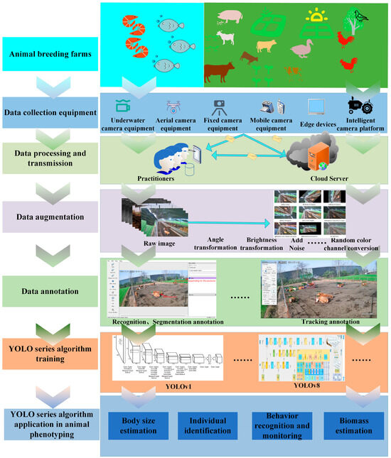 A Review of You Only Look Once Algorithms in Animal Phenotyping ...