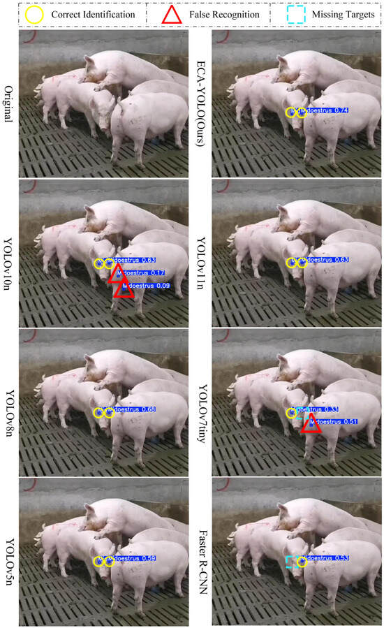A Lightweight Model for Small-Target Pig Eye Detection in Automated Estrus Recognition