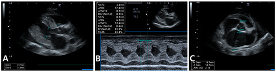 Successful Management of Recurrent Pyothorax in a Cat: Clinical ...