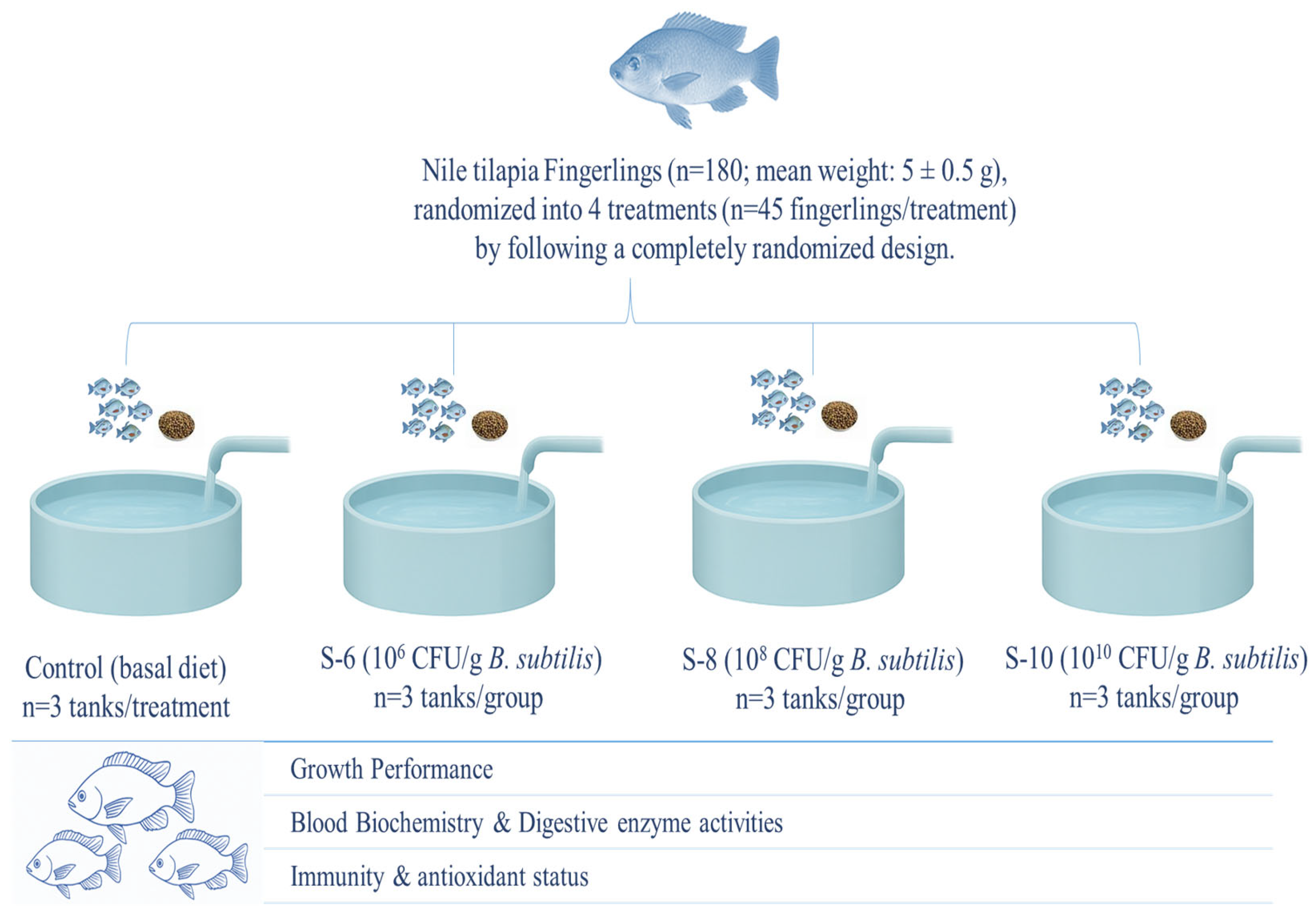 Dietary Supplementation of Bacillus subtilis as Probiotic Influenced ...