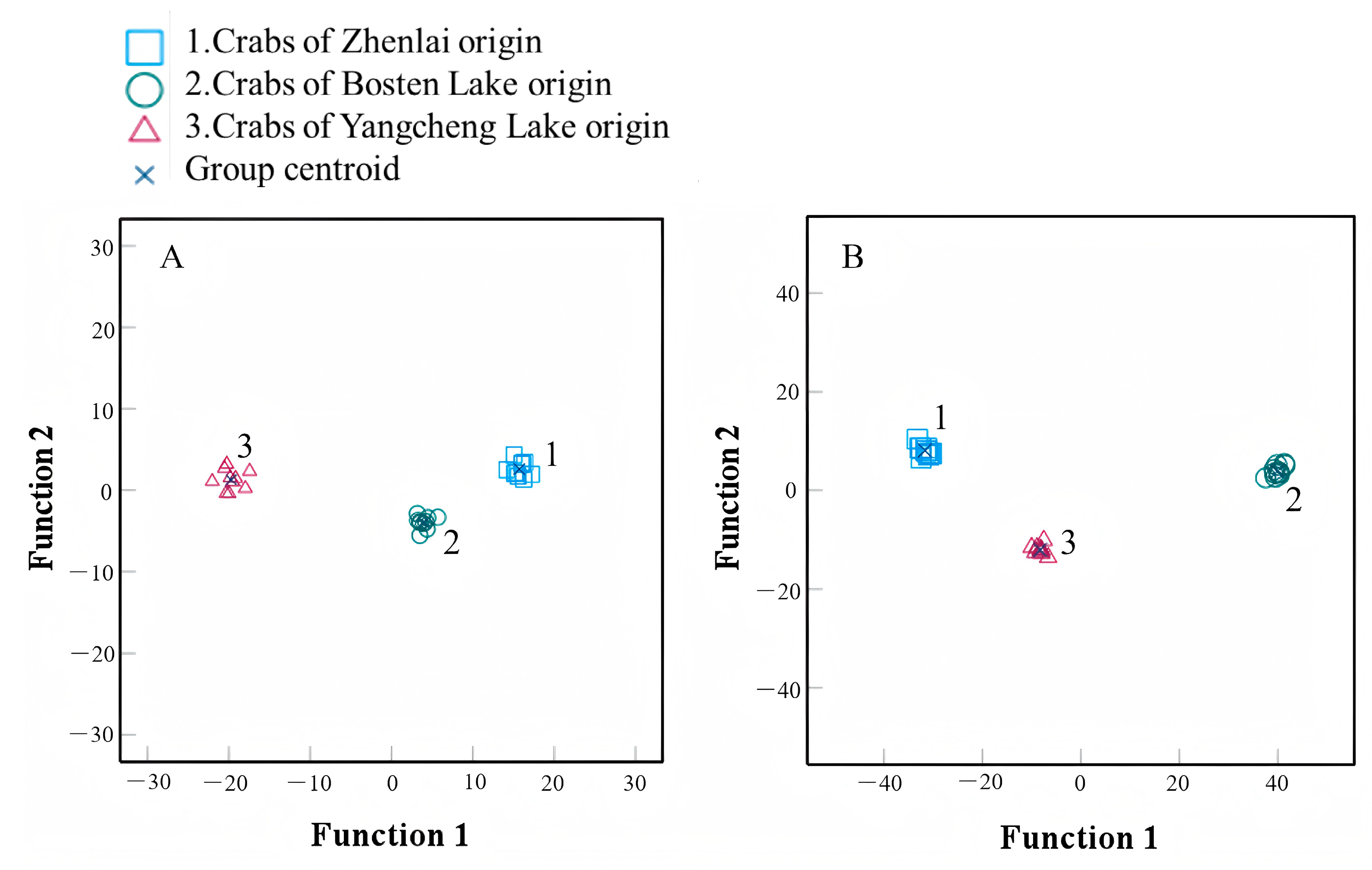 Carapace Morphological Characteristics of Chinese Mitten Crab ...
