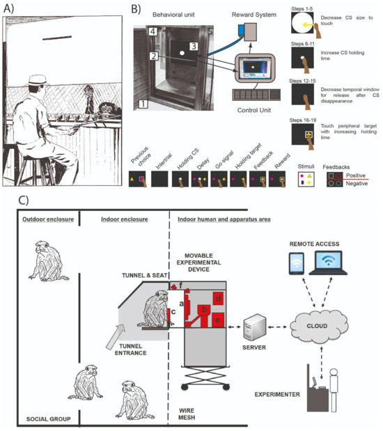 Home-Cage Training for Non-Human Primates: An Opportunity to Reduce ...