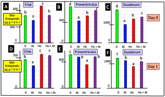 Effects of Cholinergic and Opioid Antagonists on In Vitro Release of ...