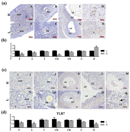 Toll-like Receptor Expression Patterns in the Female Reproductive Tract ...