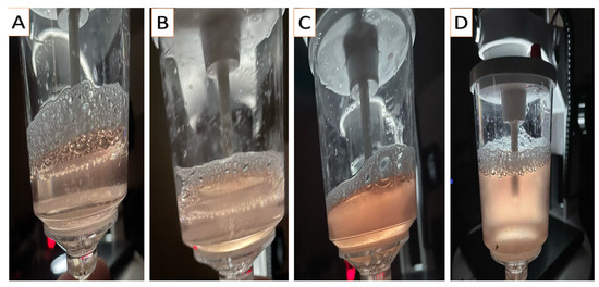 Large-Scale Embryo Transfer Operation in Dromedary Camels ...