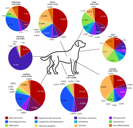 Retrospective Study of Malignant Cutaneous Tumors in Dog Populations in ...