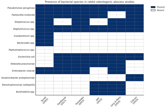 Odontogenic Abscesses in Pet Rabbits: A Comprehensive Review of ...