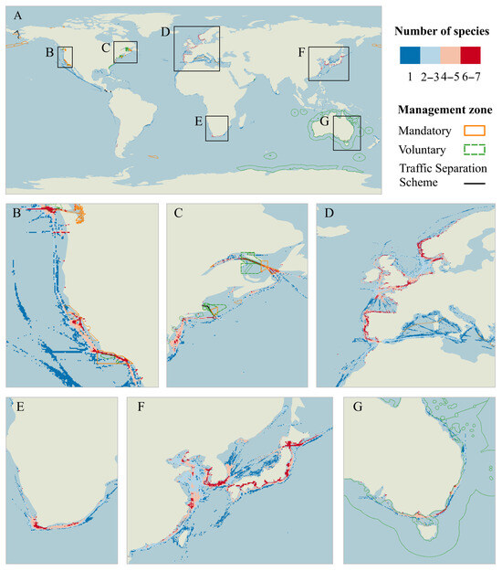 Global Hotspots of Whale–Ship Collision Risk: A Multi-Species Framework ...