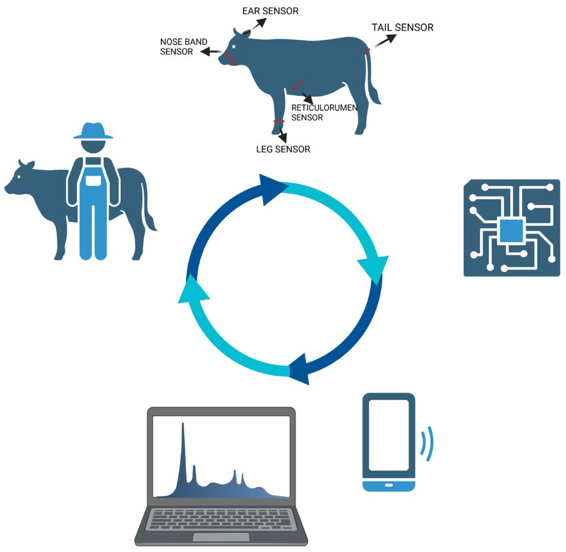 The Role of Sensor Technologies in Estrus Detection in Beef Cattle: A ...