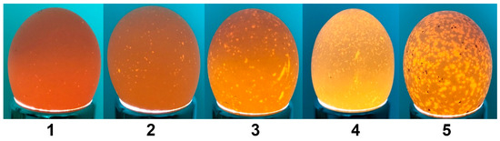 Impact of Eggshell Color Diversity on Hatchability, Translucency, and ...