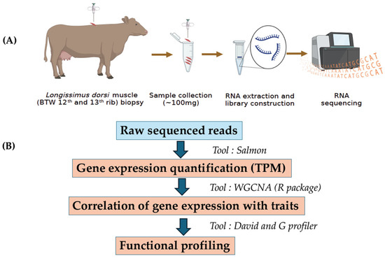 Identification of Metabolic Pathways and Hub Genes Associated with ...