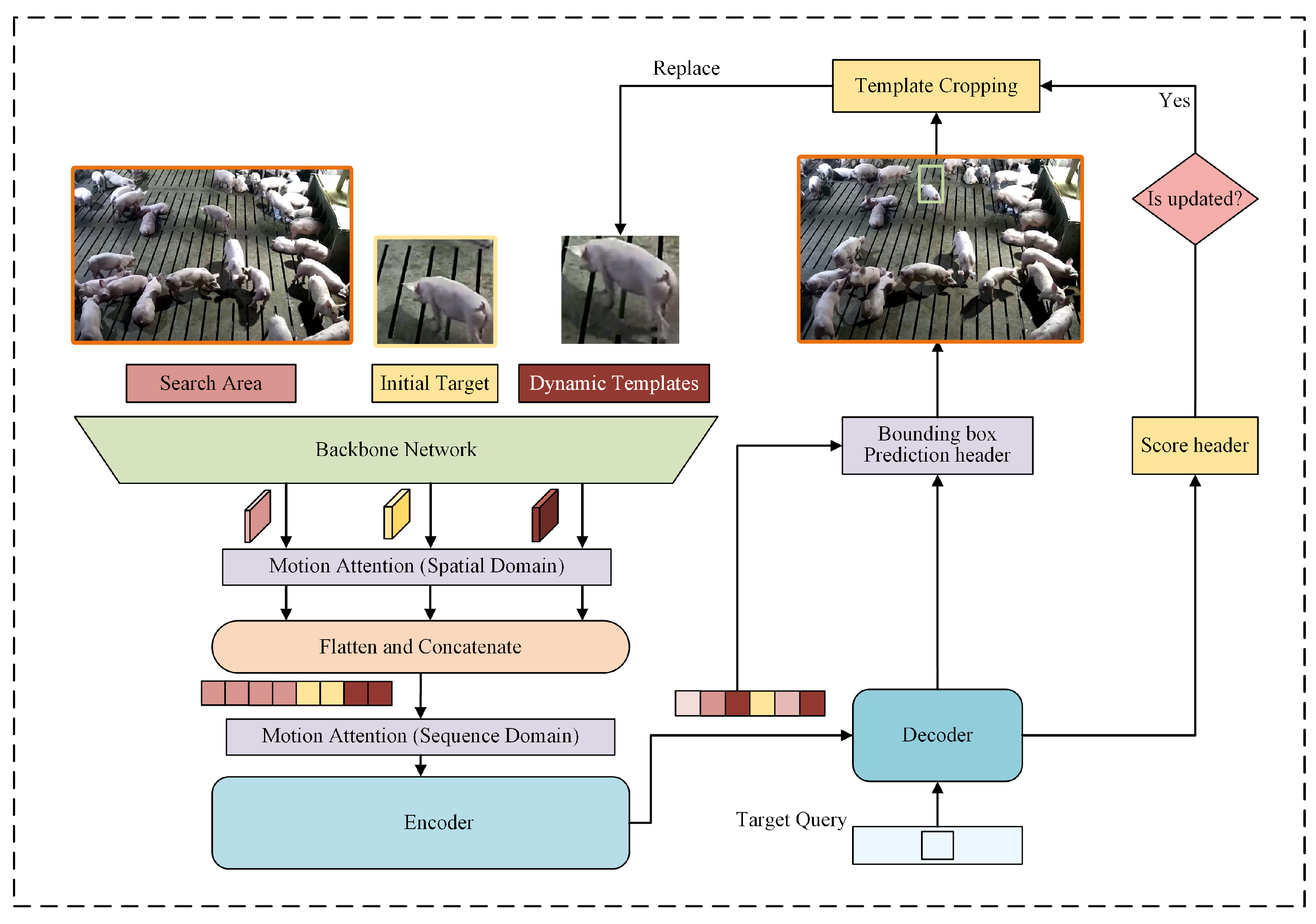Detection and Continuous Tracking of Breeding Pigs with Ear Tag Loss: A ...