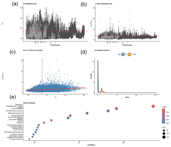 Genome-Wide Association Study Identifies Candidate Genes for Body Size ...