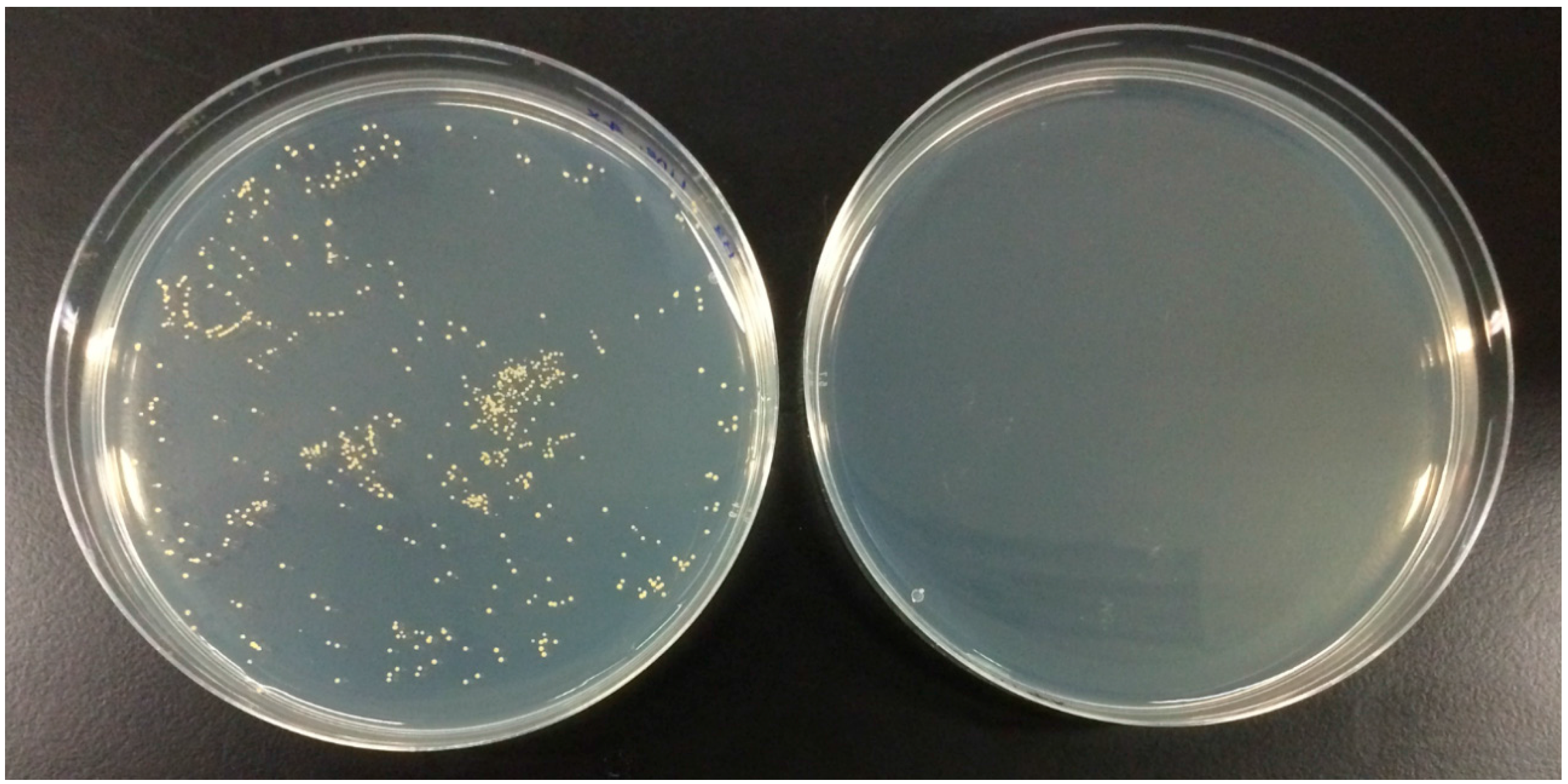An FDA-Drug Library Screen for Compounds with Bioactivities against ...