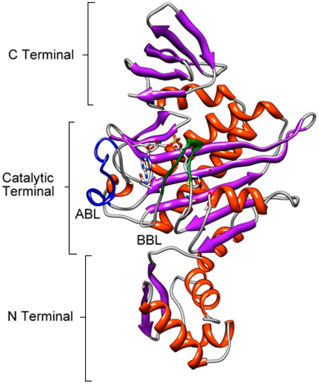 Biotin Protein Ligase Is a Target for New Antibacterials