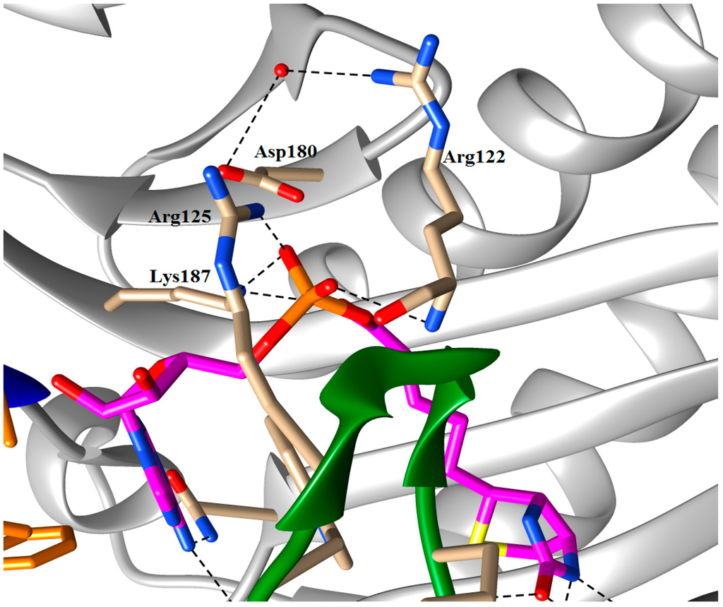 Biotin Protein Ligase Is a Target for New Antibacterials
