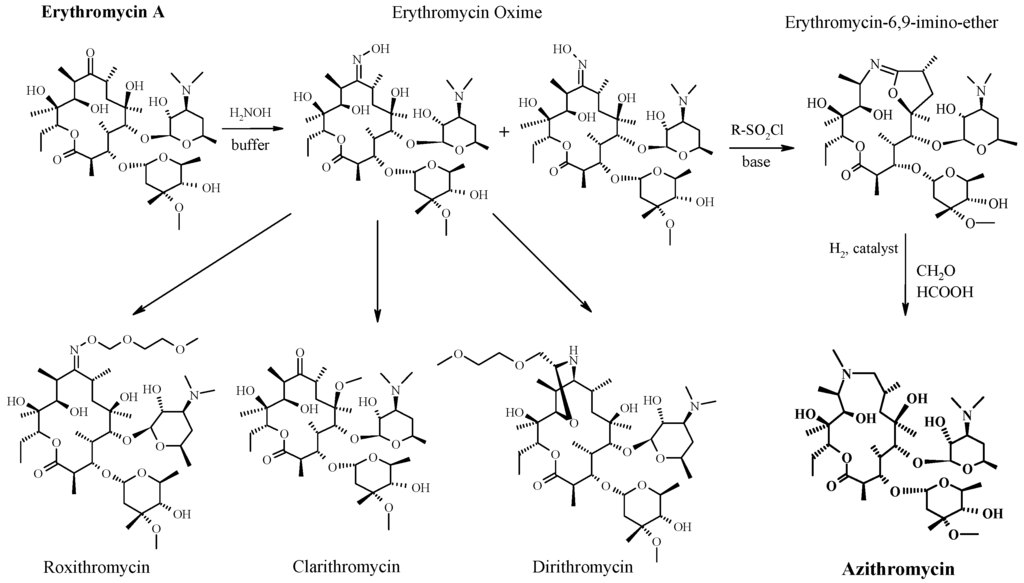 From Erythromycin to Azithromycin and New Potential Ribosome-Binding ...