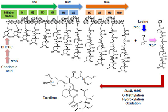 Antibiotics | Special Issue : Actinomycetes: The Antibiotics Producers