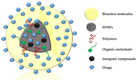 Iron Oxide Nanoparticles for Biomedical Applications: A Perspective on Synthesis, Drugs ...