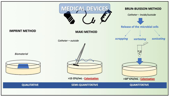 Methods Used for the Eradication of Staphylococcal Biofilms