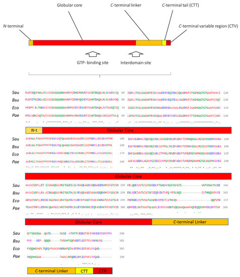 Targeting Bacterial Cell Division: A Binding Site-Centered Approach to ...