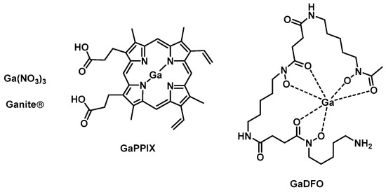 Metal Complexes, an Untapped Source of Antibiotic Potential?