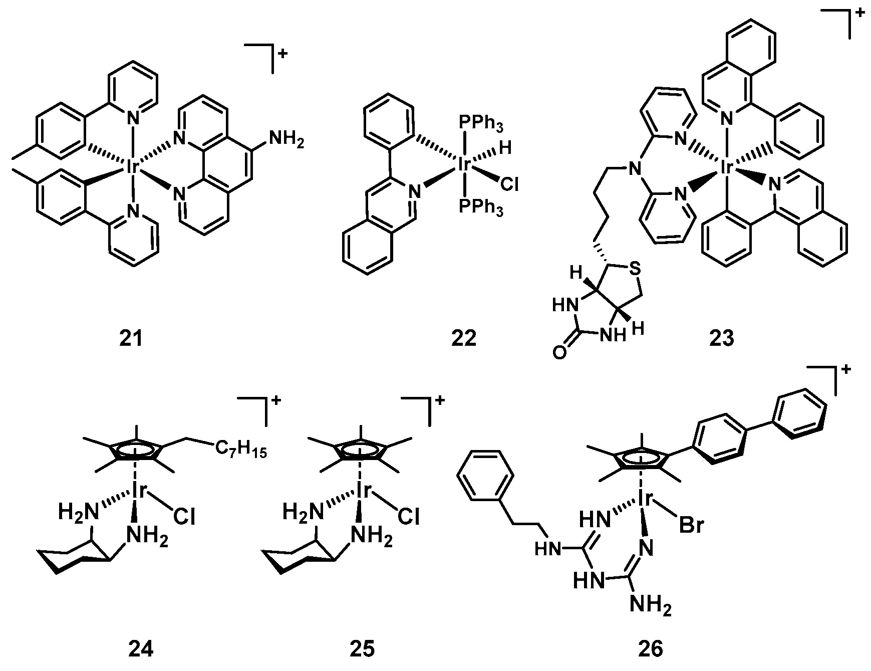 Metal Complexes, an Untapped Source of Antibiotic Potential?
