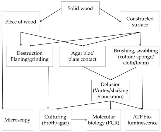 Antibiotics | Free Full-Text | Testing the Antimicrobial ...
