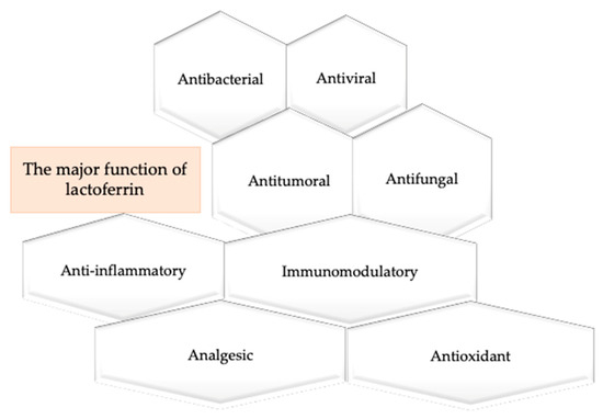 Lactoferrin Functionalized Biomaterials: Tools for Prevention of ...