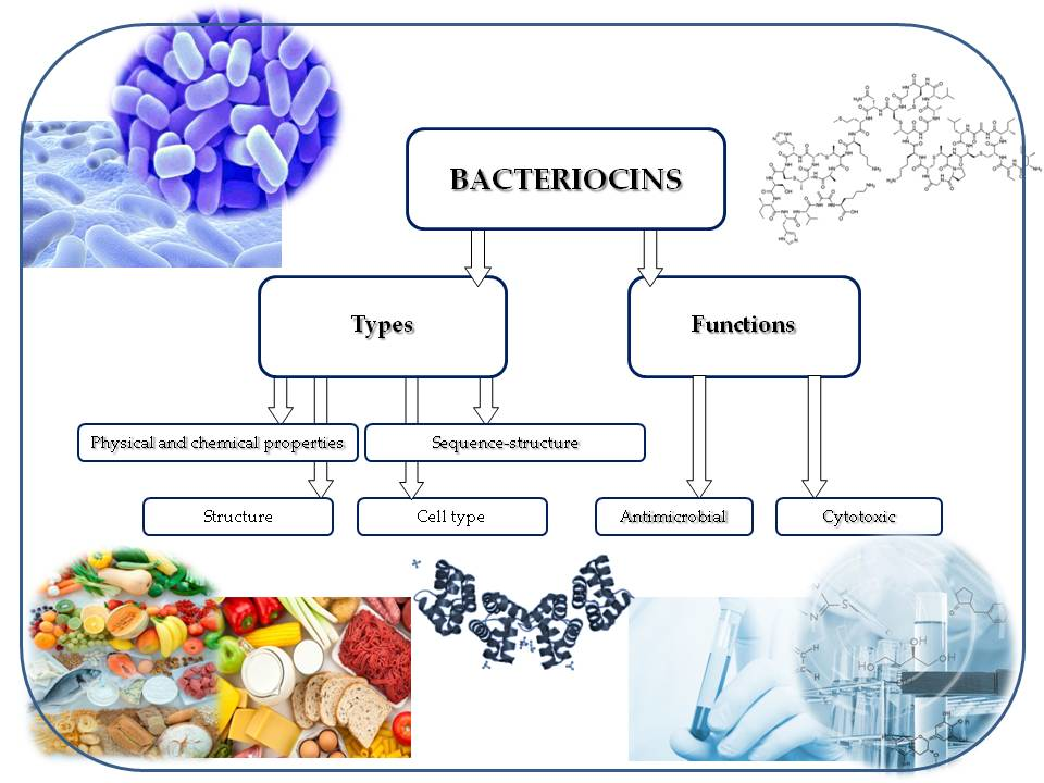 Antibiotics | Free Full-Text | Overview of Global Trends in Classification, Methods of ...
