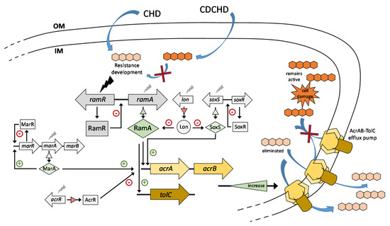 Amidochelocardin Overcomes Resistance Mechanisms Exerted on ...